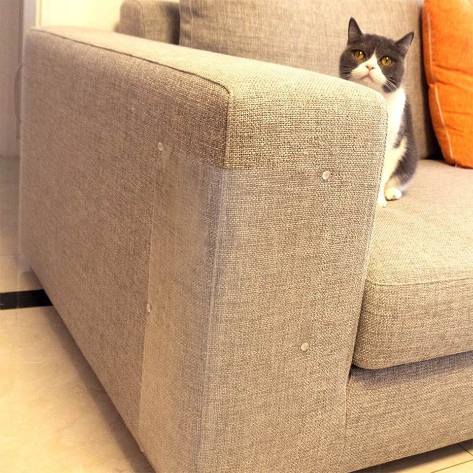FelineShield - Protects Your Furniture From Cat Scratching – Felineshield